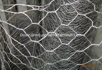 China Galvanized Hexagonal Wire Mesh for sale supplier