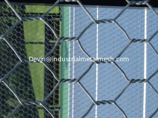 China double twist hexagonal wire mesh/chicken wire netting supplier