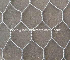 China Hexagonal wire mesh/Chicken wire mesh/Galvanized Hexagonal wire netting supplier