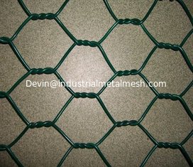 China hexagonal mesh/hexagonal chicken wire mesh/hexagonal wire mesh supplier