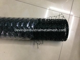 China Galvanized hexagonal wire mesh supplier