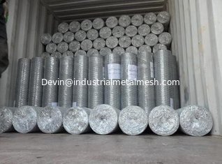 China hexagonal wire mesh/ chicken wire mesh from China manufacturer supplier