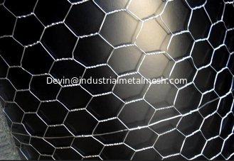 China Hexagonal Wire Mesh/Chicken Wire Mesh/Bird Aviaries supplier