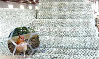 China ISO9001 factory cheap PVC coated redrawing galvanized hexagonal wire mesh supplier
