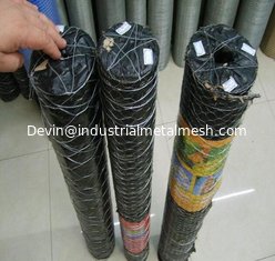 China high quality galvanized galvanized hexagonal wire mesh for sale supplier