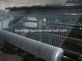 China hexagonal wire mesh/hexagonal chicken wire netting/chicken wire mesh supplier