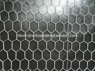 China High quality Chicken wire netting Hexagonal mesh fence supplier