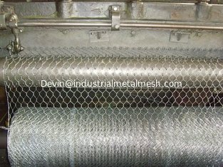 China Chicken coop iron wire fence/Hot sale galvanized hexagonal wire mesh/1/2 inch chicken wire supplier