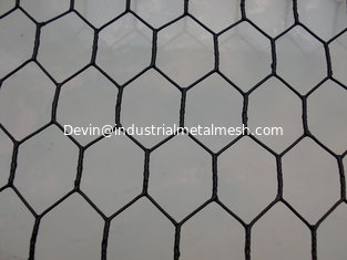 China Chicken Wire Fence Lowes (1/2", 3/4", 3/8"etc ) supplier