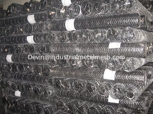China 1/2'' hexagonal small bird cage wire mesh/chicken fence supplier