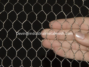 China Hot Dipped/ Eletric Galvanized Hexagonal/Chicken Wire Netting/Poultry Fence supplier