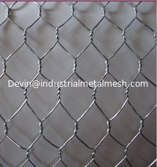 China Galvanized iron wire hexagonal wire netting / chicken fence / PVC coated chicken fence supplier
