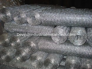 China Galvanized Chicken Wire Mesh Cage/Hexagonal wire mesh supplier