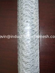 China Shipping 3/8" Chicken Wire Fencing Galvanized and PVC Coated supplier