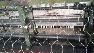 China Shipping 3/8" Chicken Wire Fencing Galvanized and PVC Coated supplier