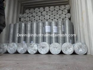 China Galvanized Normal Twist 10mm Hexagonal Wire Mesh supplier