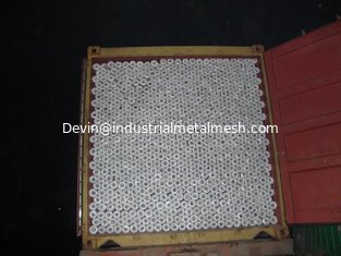 China white chicken wire mesh/plastic fencing mesh/plastic chicken wire fence(factory) supplier