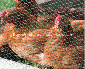 China High quality hexagonal 1/2 inch chicken wire netting / stainless steel stucco hexagonal wire mesh to reinforce concrete supplier