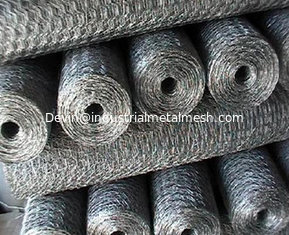 China Decorative Galvanized Hexagonal Wire Mesh 10mm (Manufactory and Exporter) supplier