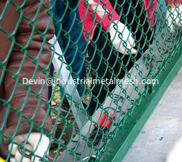China Hot sale high quality Galvanized chain link fence supplier