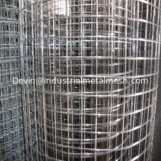 China 1/4 inch welded wire mesh ,10 heavy gauge ss welded wire mesh , 2x2 galvanized welded wire mesh supplier