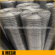 China Competitive Price galvanized welded wire mesh ISO9001 factory supplier