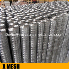 China 1/2 Inch Plastic Coated Welded Wire Mesh supplier