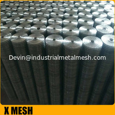 China manufacturer Galvanized welded wire mesh panel or roll , pvc coated Welded Wire Mesh supplier