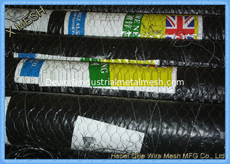 China Galvanized PVC Coated SMALL HOLE CHICKEN WIRE MESH /HEXAGONAL WIRE MESH Netting for Chicken Fence supplier