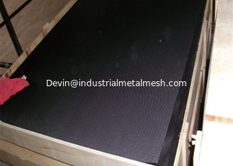 China High quality  black powder coated anti-mosquito screen for Invisible supplier