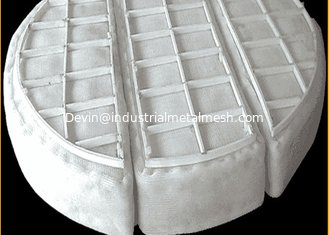 China High Quality Ptfe Teflon Mist Eliminator From China supplier