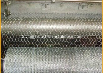 China Hexagonal Wire Mesh White Plastic Chicken Wire Fence supplier