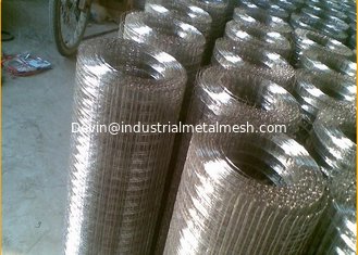 China Excellent Oxidation Resistant 304 310 316 Stainless Steel Welded Wire Mesh supplier
