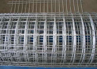 China Galvaized/Pvc Coated Welded Wire Mesh 1inch*1inch;2inch*2inch supplier