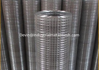 China Supplier Wholesale 6x6 Concrete Reinforcing Welded Wire Mesh supplier