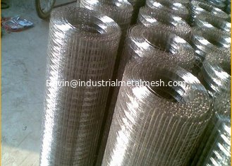 China 1/2" X 1/2" Square Hole Welded Wire Mesh supplier