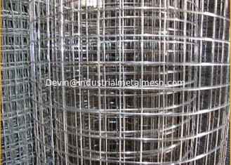 China China Manufacture Pvc Coated Welded Wire Mesh For Lobster Trap supplier