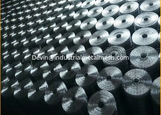 China China Wholesale Professional Manufacture 1 Inch Pvc Coaed Welded Wire Mesh supplier