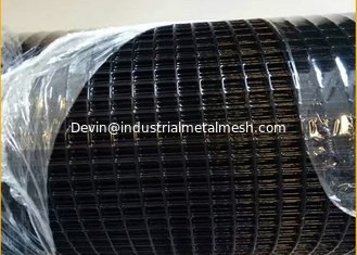 China Cheap Powder Coat 1x1 Welded Wire Mesh For Bird Cage supplier