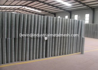 China Hengshui Factory Welded Wire Mesh/ Galvanized Welded Wire Mesh/ Wire Mesh Fence supplier