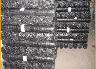 China Chicken Coop Hexagonal Wire Mesh Fence/ Pvc Coated Hexagonal Wire Mesh supplier