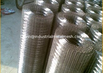 China Galvanized Rabbit Cage Wire Galvanized Welded Wire Mesh supplier