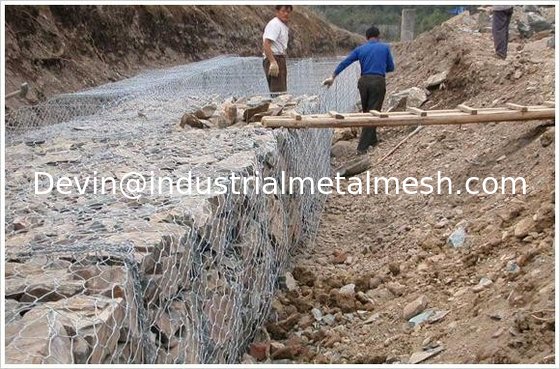 New Innovative Product Hexagonal Chicken Wire Mesh supplier