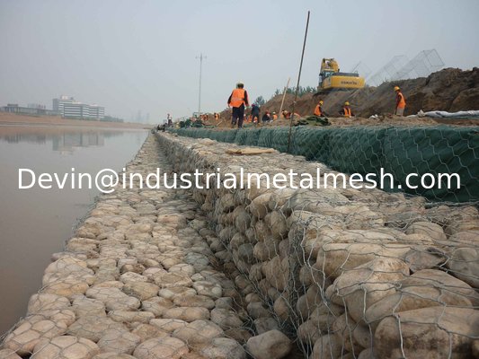 New Innovative Product Hexagonal Chicken Wire Mesh supplier