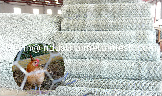 galvanized/pvc hexagonal wire mesh factory supplier