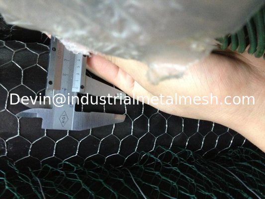 galvanized hexagonal wire mesh/1/2 inch chicken wire netting supplier