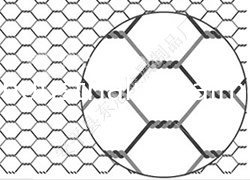 hexagonal wire mesh 10mm/heavy duty chicken wire/chicken wire cage supplier