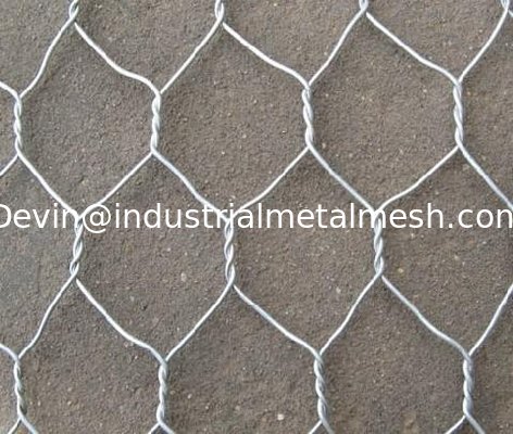 Hexagonal wire mesh/Chicken wire mesh/Galvanized Hexagonal wire netting supplier