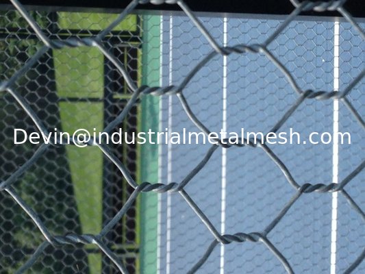 Hexagonal wire mesh/Chicken wire mesh/Galvanized Hexagonal wire netting supplier