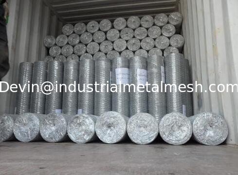 hexagonal wire mesh/ chicken wire mesh from China manufacturer supplier